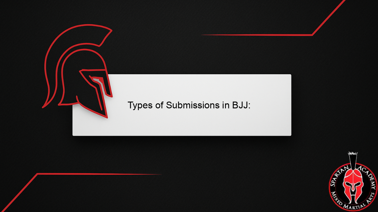Master BJJ Submissions at Spartan Academy MMA in Columbia SC